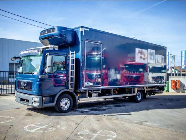 Man TGL 12.220 BL - THERMOKING - Camion frigo in vendita a Handzame da ...